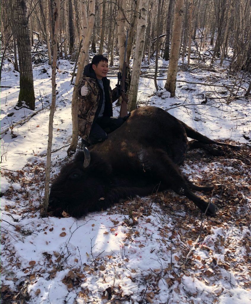 Bison Cow Hunts – Tatonka Flats Bison